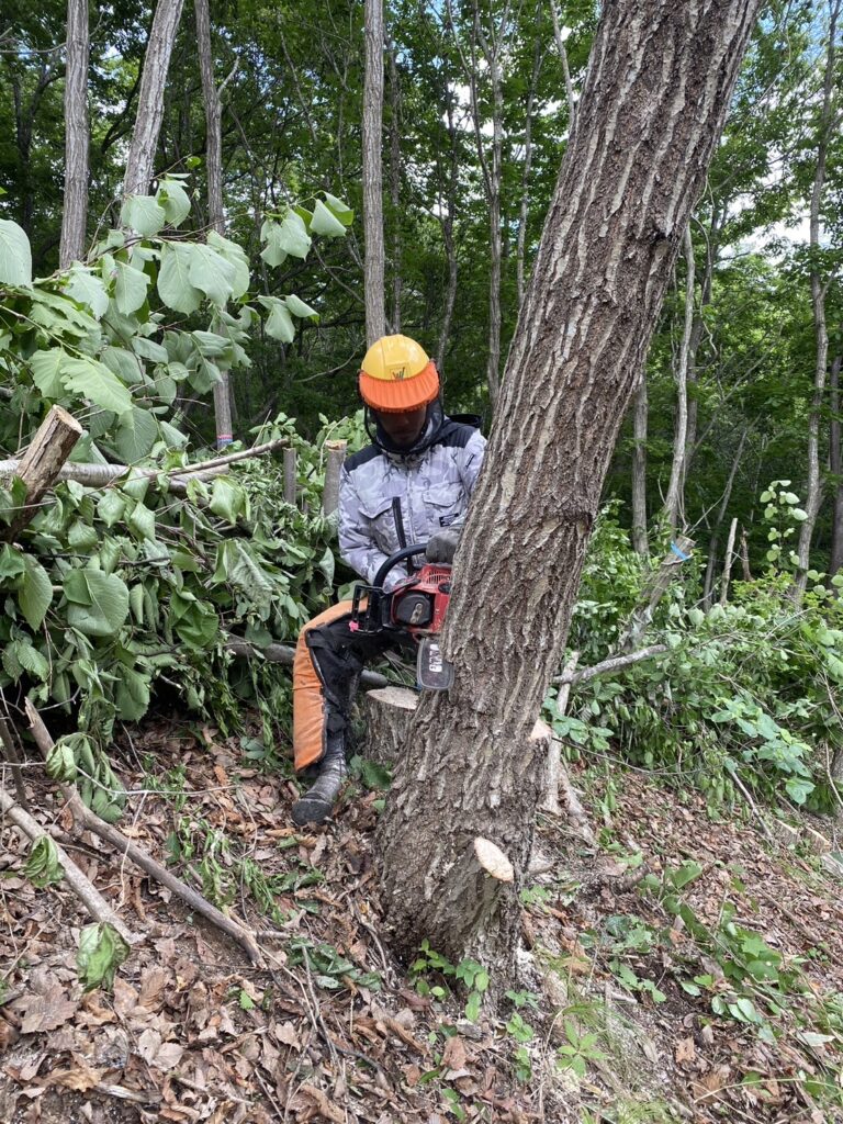 株式会社 NEX LINE